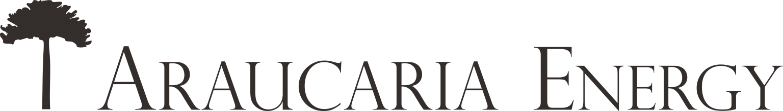 Integra Capital - Integra Capital